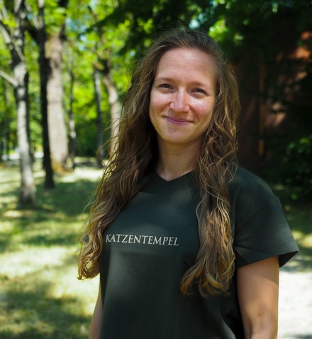 Katzencafé in Augsburg – der Tipp für Katzenfreund:innen ...